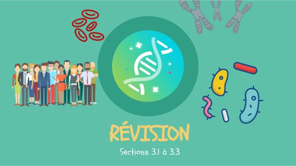 Révision chapitre 3 | Genially