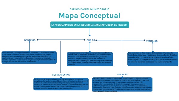 MAPA CONCEPTUAL CAJAS