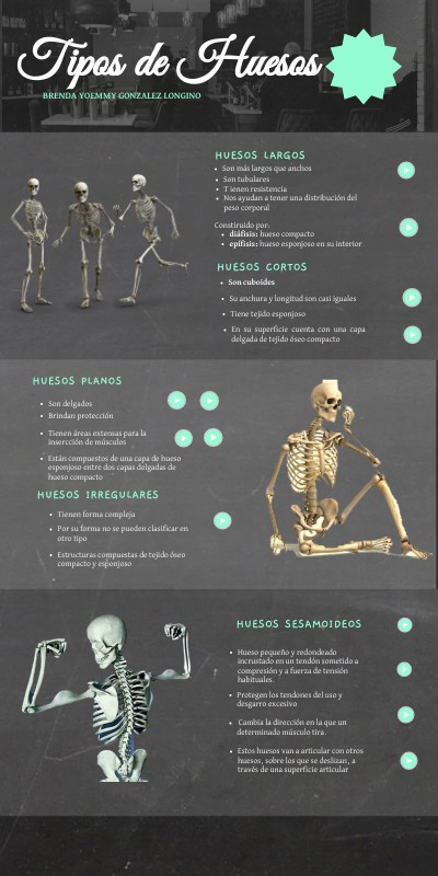 TIPO DE HUESOS