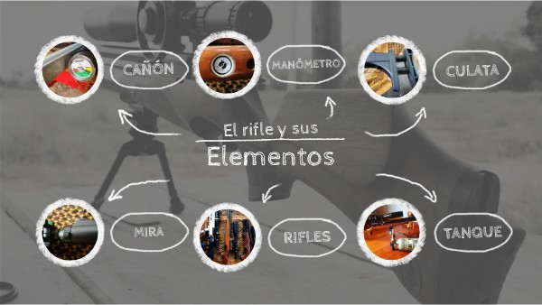 RIFLE Y SUS ELEMENTOS