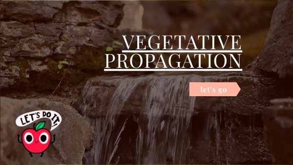 vegetative propagation