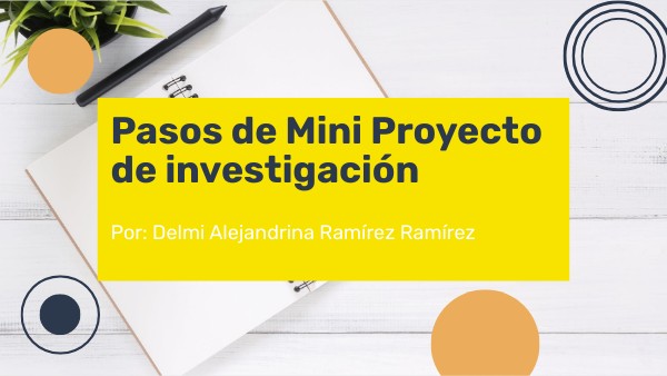 PASOS MINI PROYECTO