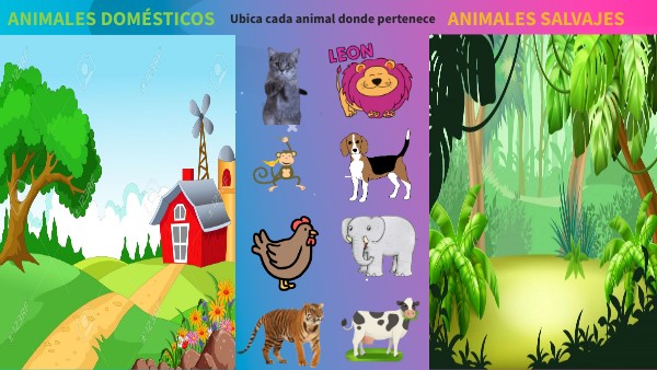 IDENTIFICAR LOS ANIMALES DOMÉSTICOS Y SALVAJES