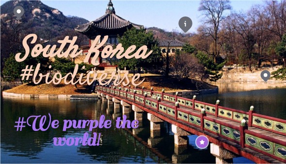 SOUTH KOREA | Genially