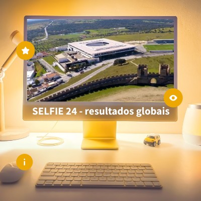 SELFIE - resultados globais