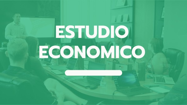 ESTUDIO ECONOMICO