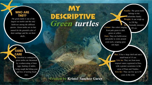 green turtle | Genially