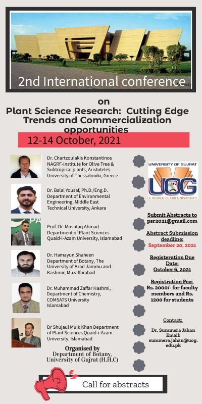 Copy - Second International Conference | Genially