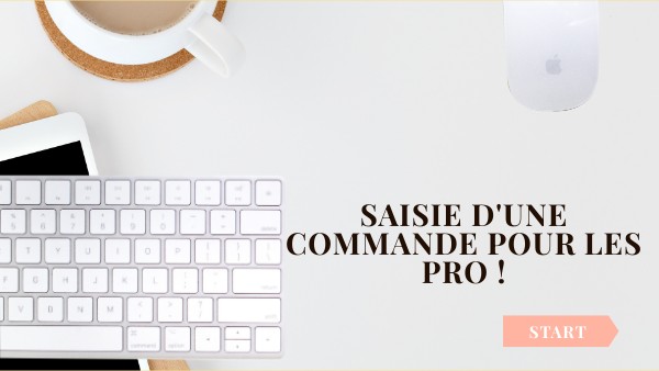 SAISIE COMMANDE PRO ONE NAVISION