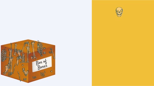Bones in a box | Genially