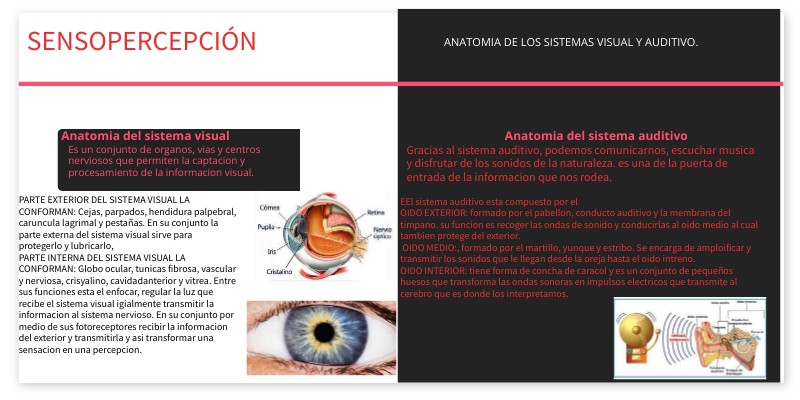 SENSO PERCEPCOÓN | Genially