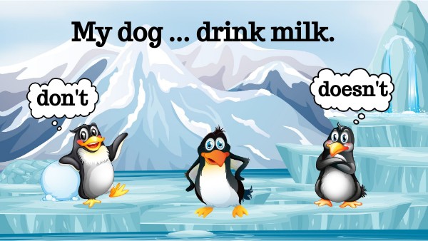 don't/doesn't | Genially