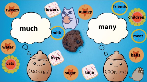 much/many | Genially