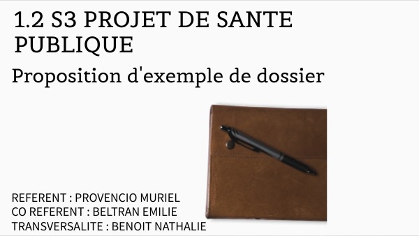UE 1.2 - S3 - Démarche de SP - Exemple dossier santé publique - | Genially