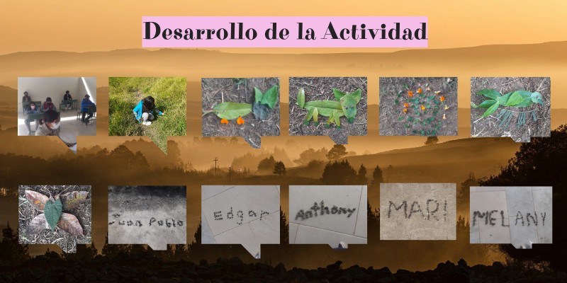 Desarrollo de la actividad | Genially