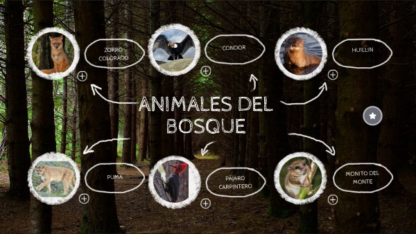 ANIMALES DEL BOSQUE | Genially