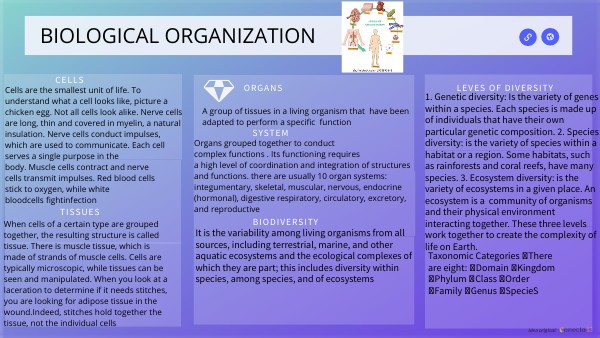 Biological Organization group work | Genially