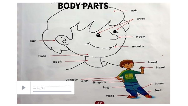 BODY PARTS GRAMMAR | Genially