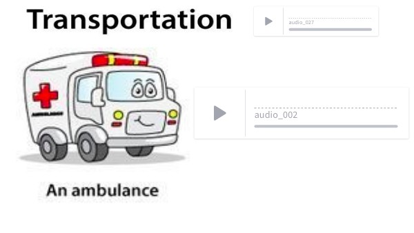 TRANSPORT