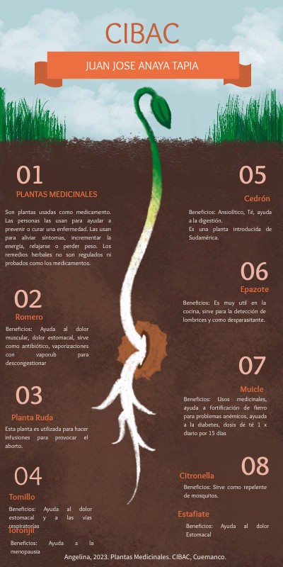 INFOGRAFÍA CIBAC | Genially