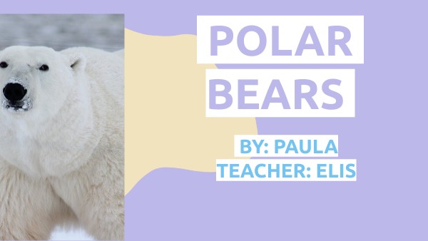 PRESENTACION OSOS POLARES | Genially