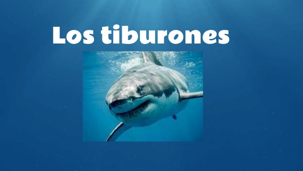 Los tiburones | Genially