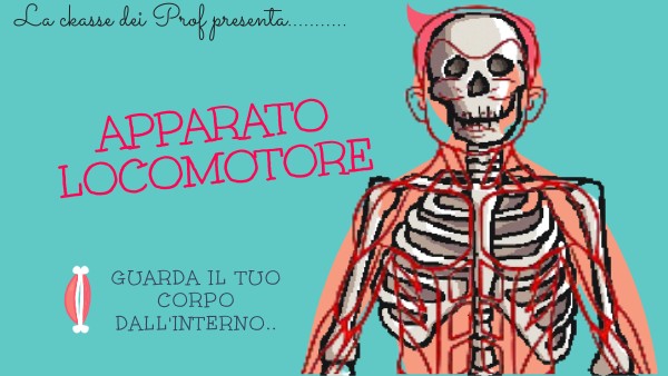 2. L'APPARATO LOCOMOTORE | Genially