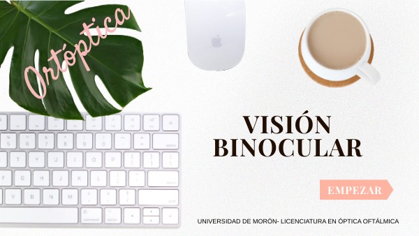 Visión Binocular