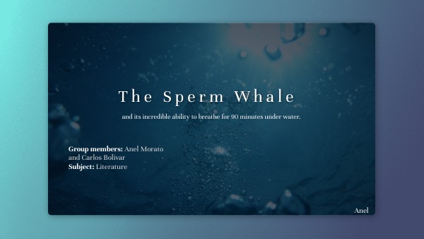 Sperm Whale