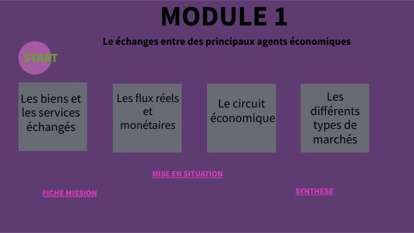 MODULE 1 LES ECHANGES ENTRE AGENTS ECONOMIQUES | Genially