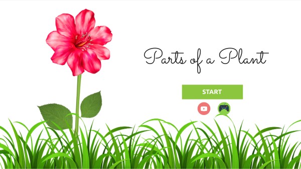 PARTS OF A PLANT | Genially