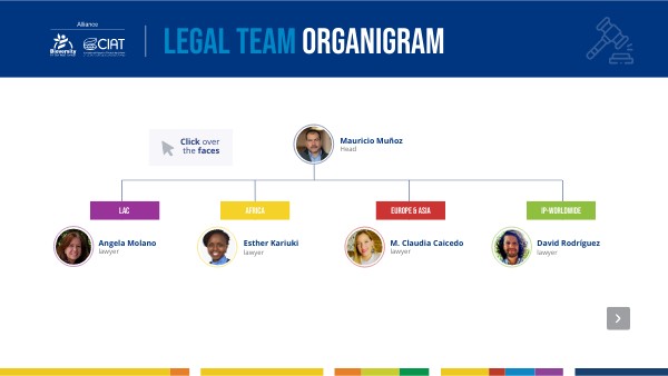 Legal Team - Organigram | Genially