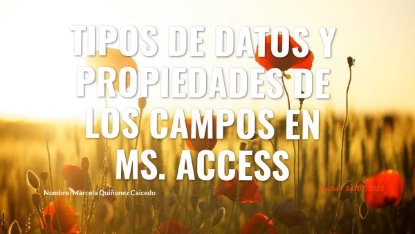 TIPOS DE DATOS Y PEOPIEDADES DE LOS CAMPOS EN MS.ACCES