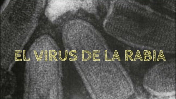 virus de la rabia