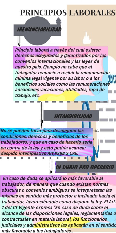 Principios Laborales (Flujograma)