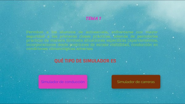 QUE TIPO DE SIMULADOR ES.