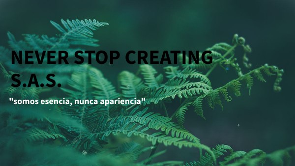 presentacion never stop creating s.a.s