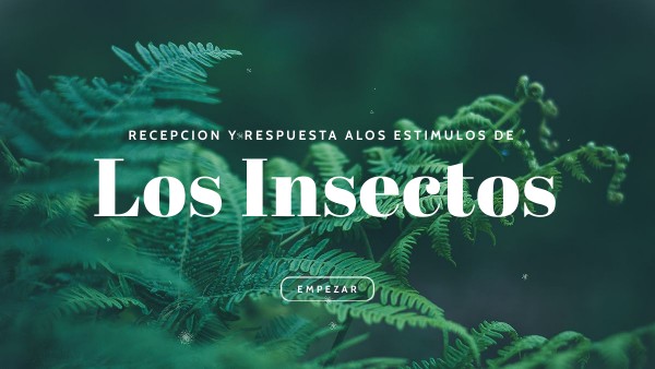 ESTIMULOS Y RESPUESTAS DE LOS INSECTOS | Genially