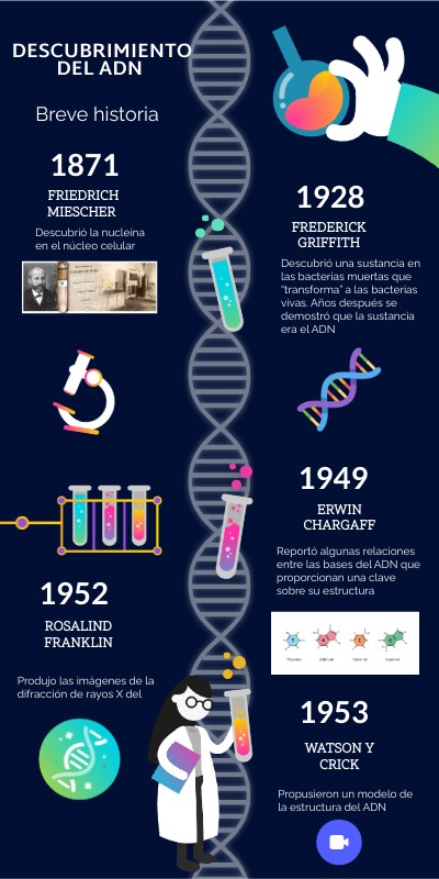 Historia del ADN DEVA B | Genially