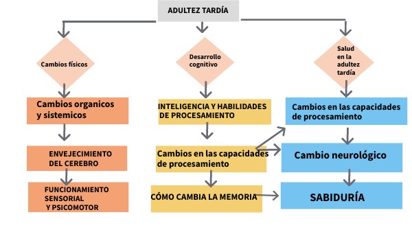 Cambios físicos, desarrollo cognoscitivo y salud en la adultez tardía | Genially