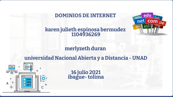 DOMINIOS DE INTERNET