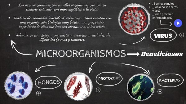 MICROORGANISMOS | Genially