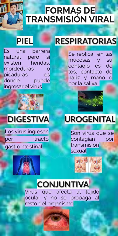 INFOGRAFIA FORMAS DE TRANSMISIÓN VIRAL | Genially