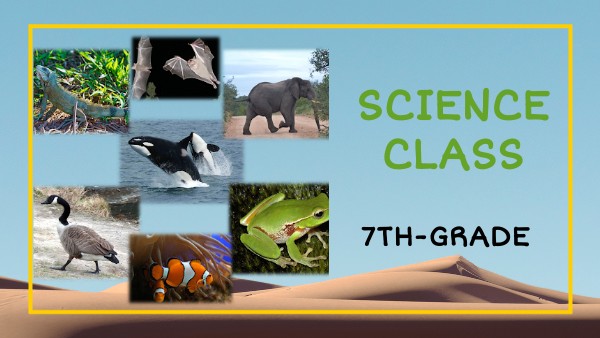 VERTEBRATE ANIMALS
