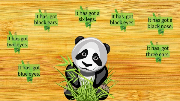 Panda Has got | Genially