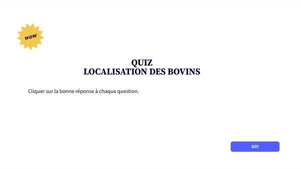 BASIC QUIZ | Genially