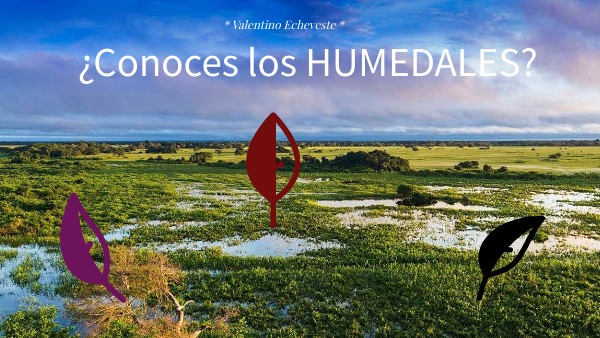 Humedales
