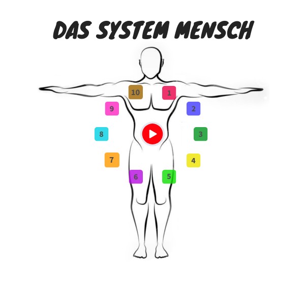 Das System Mensch