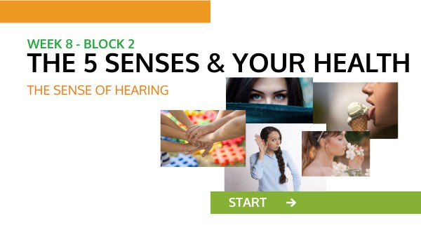 WEEK 8 - BLOCK 2 / 5 SENSES - The Sense of hearing