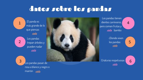 datos sobre los pandas | Genially